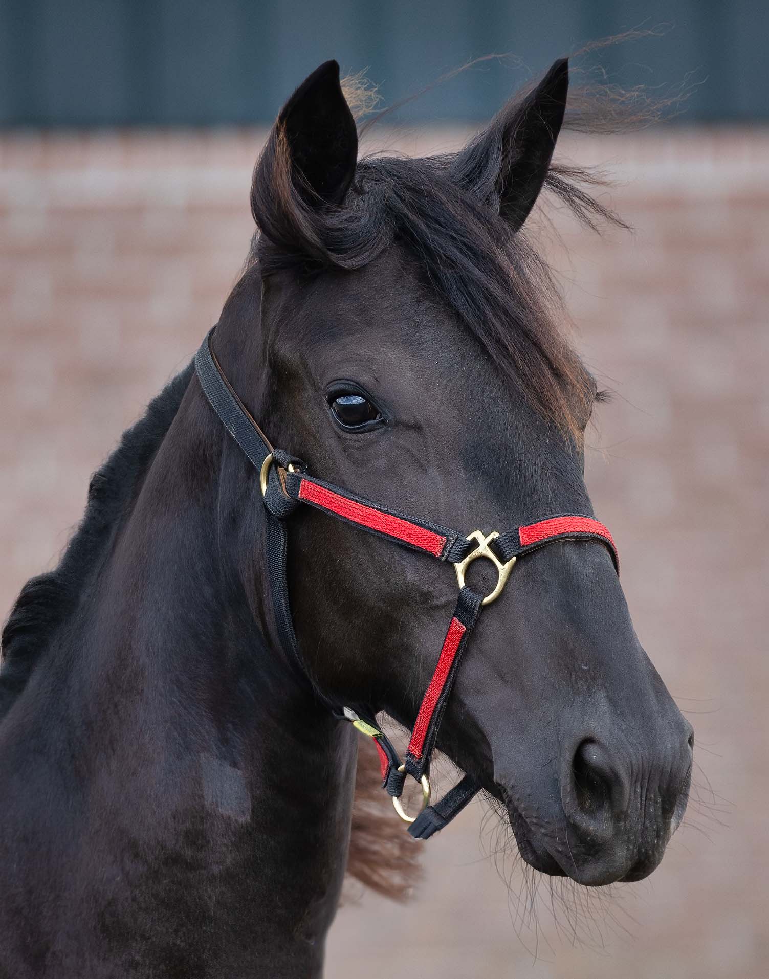 Kwaliteitstables.com – En nog een WordPress site